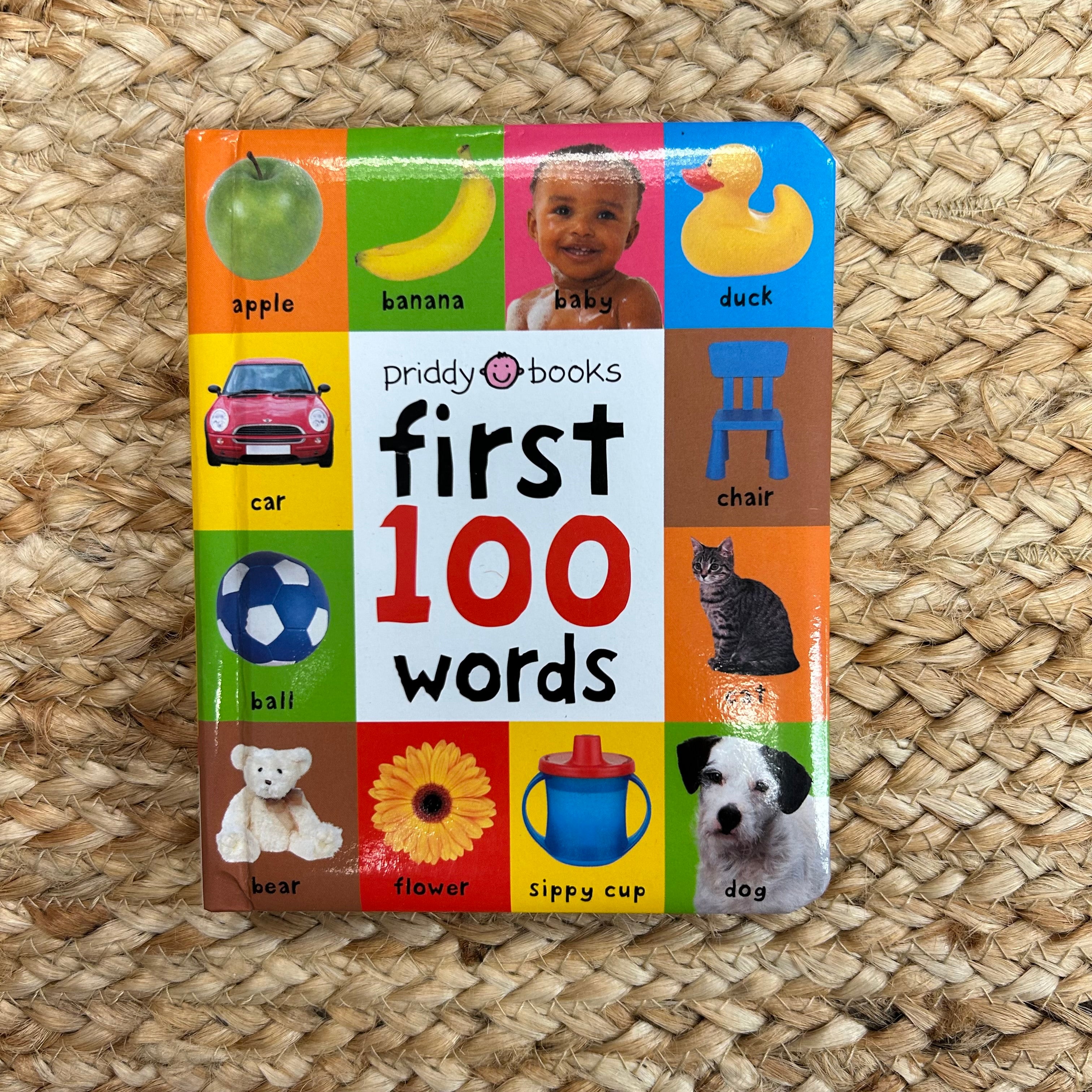 100 First Words – Little Bird