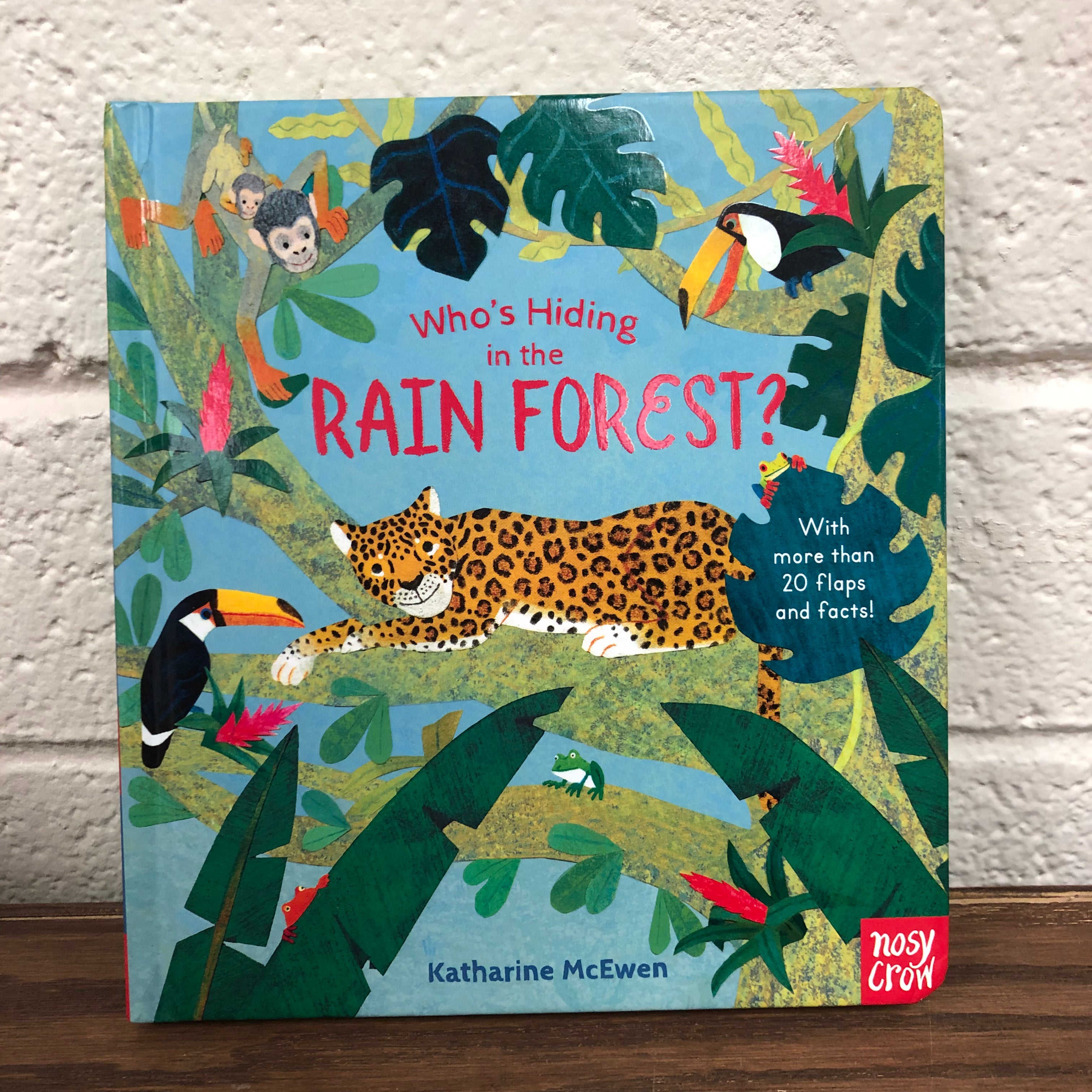 Who's Hiding in the Rainforest? – Little Bird