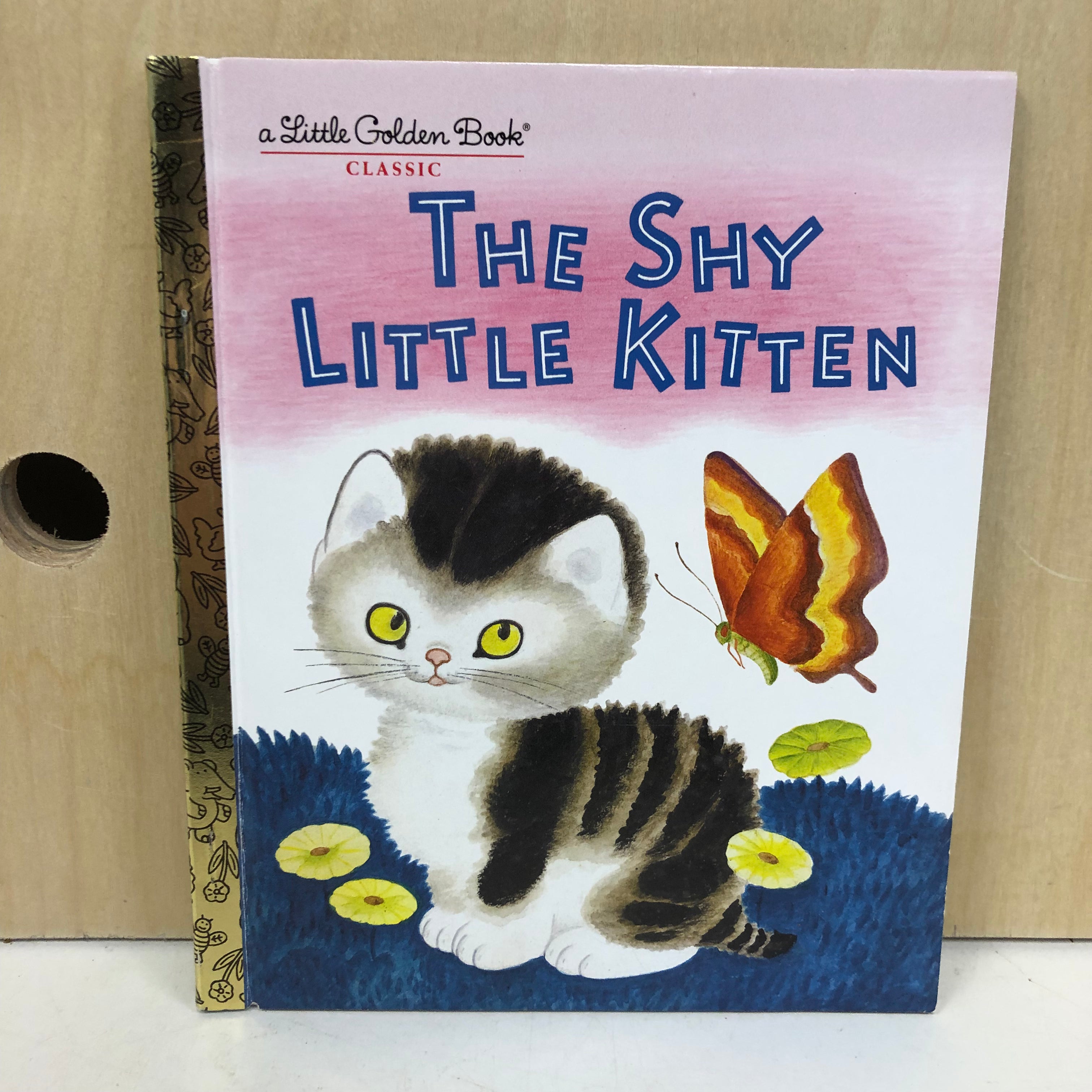 The Shy Little Kitten – Little Bird