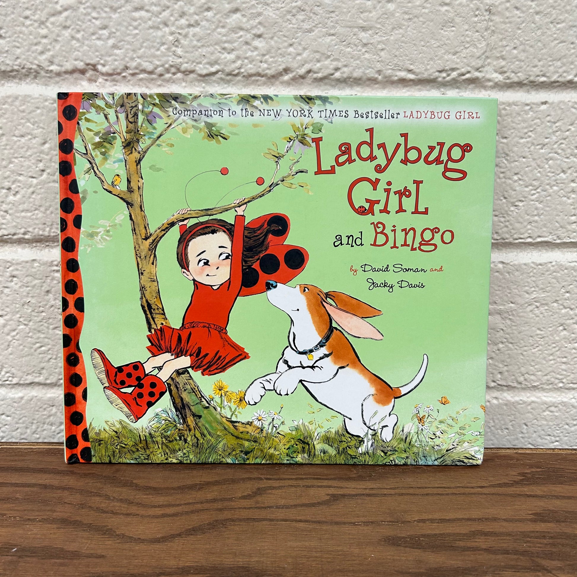 Ladybug Girl and Bingo – Little Bird