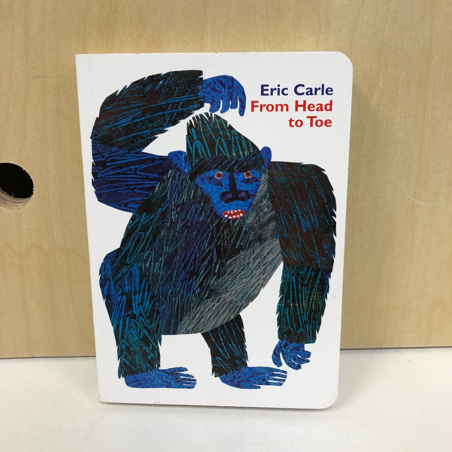 Eric Carle Head to Toe – Little Bird